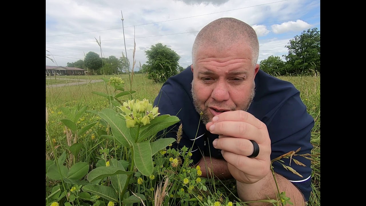 On the Ground with Garrard Co. 4-H YD Agent, Eric Comley and Green Milkweed (Asclepias viridis ...