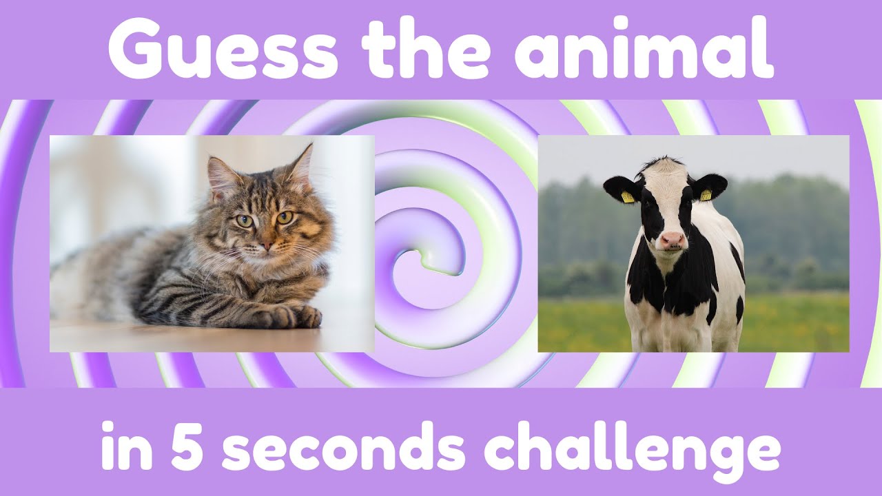 GUESS THE ANIMAL IN 5 SECONDS CHALLENGE!/FUN QUIZ FOR KIDS/JOLLY QUIZ ...