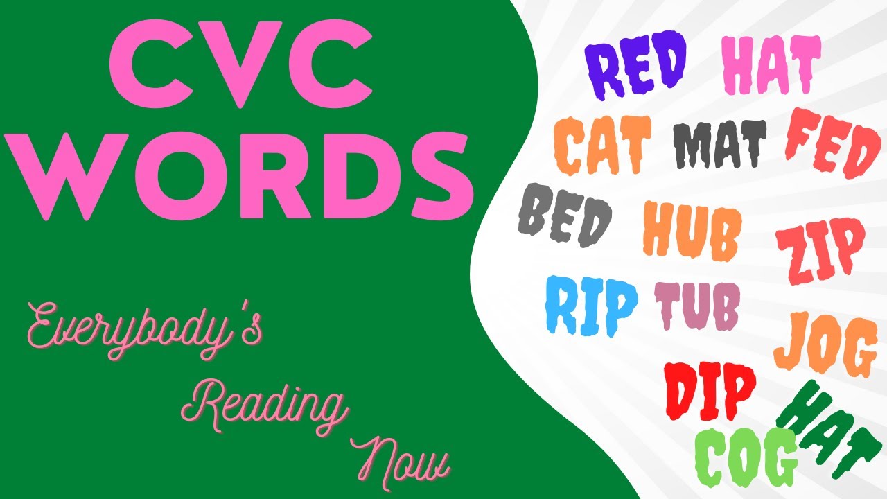 CVC Words - Everybody's Reading Now - CVC Phonics Song - YouTube