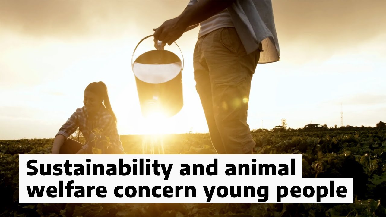 Sustainability and animal welfare concern young people - YouTube