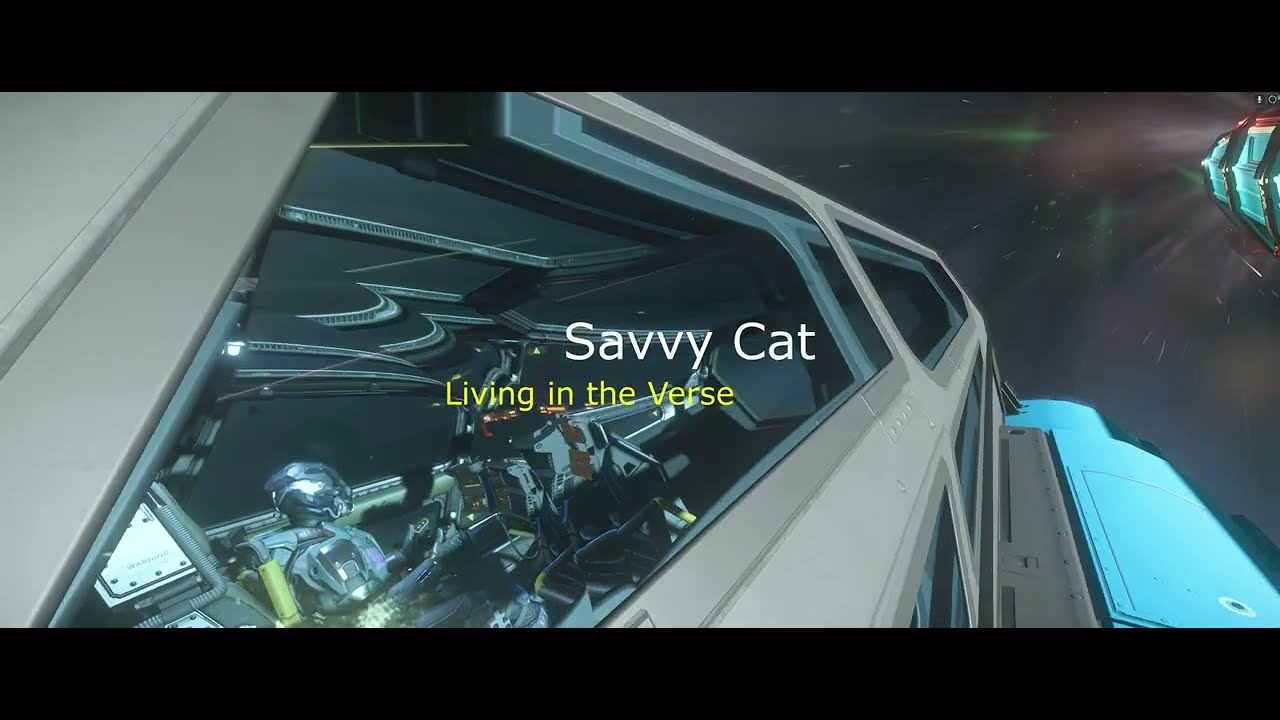 Savvy Cat - Living in the Verse - YouTube
