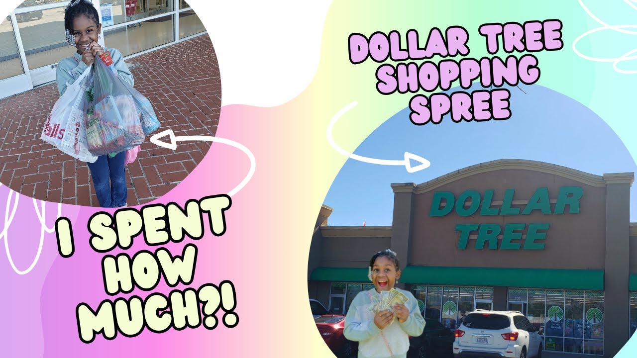 🛒 Dollar Tree Shopping Spree | I Spent How Much?! 😱🤑💸 - YouTube