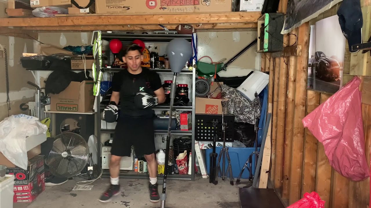 Everlast HyperFlex Strike Reflex Bag Workout Review- Is It Good? - YouTube