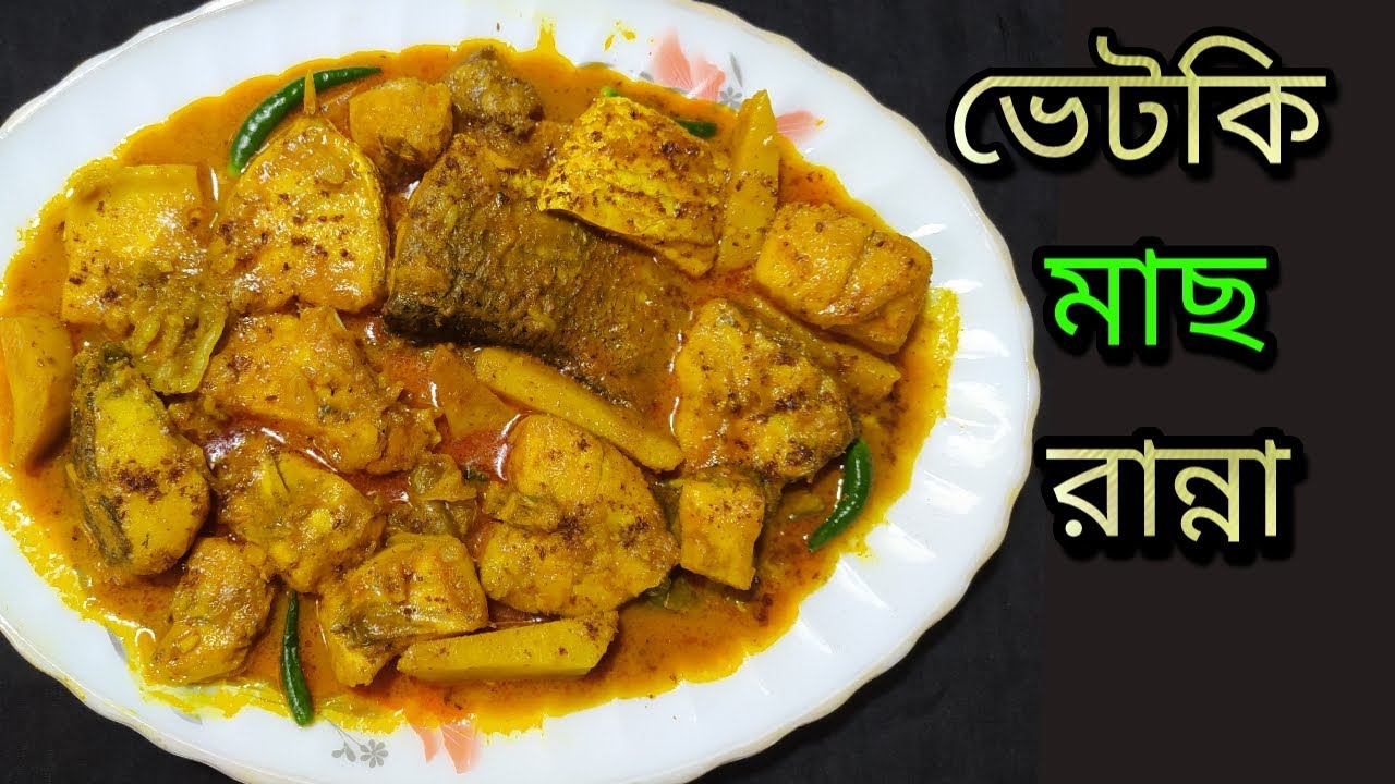 কোরাল / ভেটকি মাছ রান্না | Coral Fish Curry Recipe In Bengali | How To ...