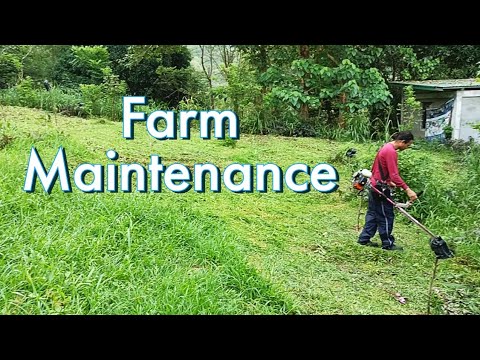 Farm Maintenance | Full Body Workout | Farm Life - YouTube