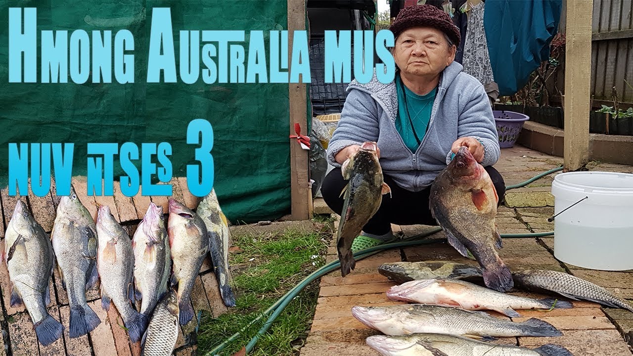 Hmong Australia mus nuv ntses 3 - YouTube