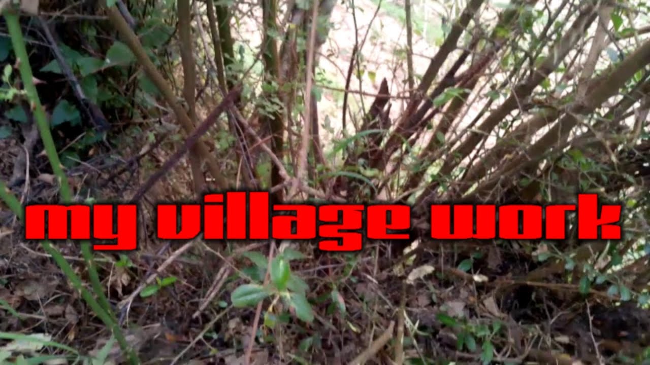 my village work || my village work... - YouTube