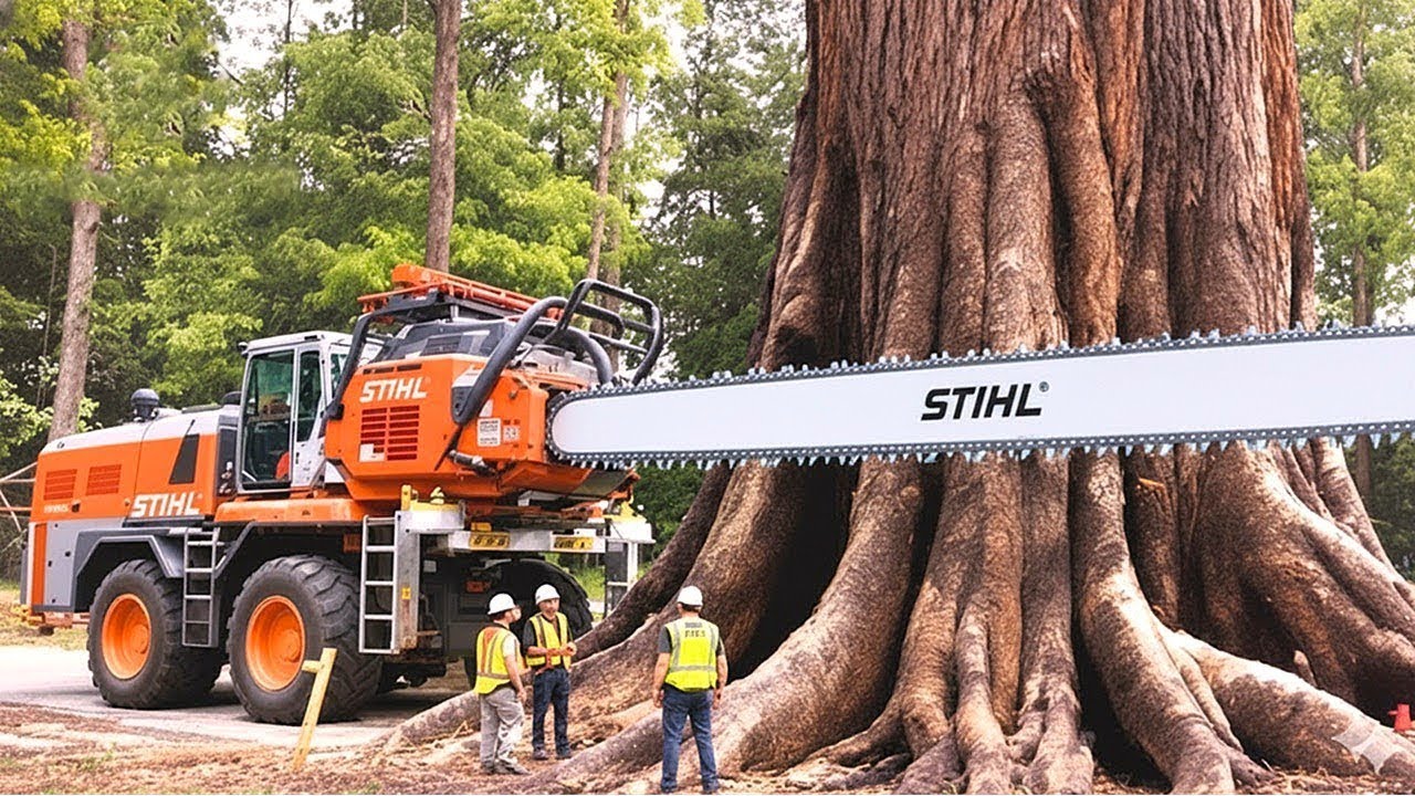This Guy Cut Down a Hundred Year Old Tree Stump to Create a Highly ...