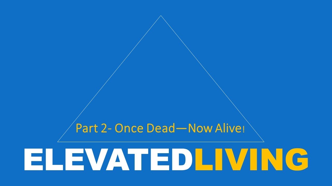 Elevated Living - Part 2 (Once Dead - Now Alive!) - YouTube