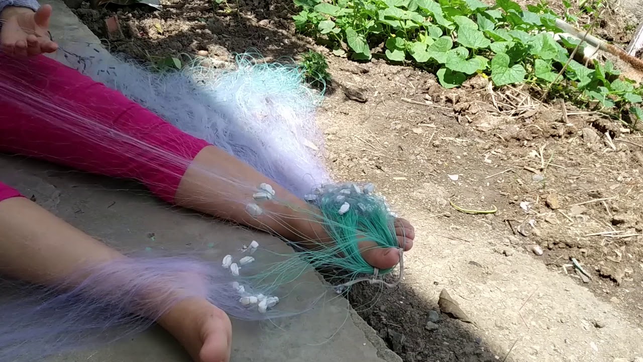 Precise Cutting Skills - How to remove fish nets - YouTube