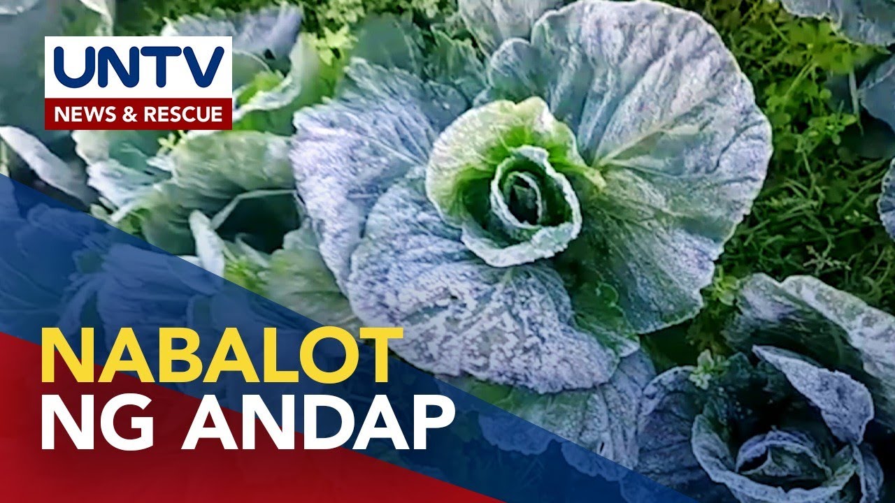 Andap, naranasan sa Atok, Benguet dahil sa pagbaba ng temperatura - YouTube