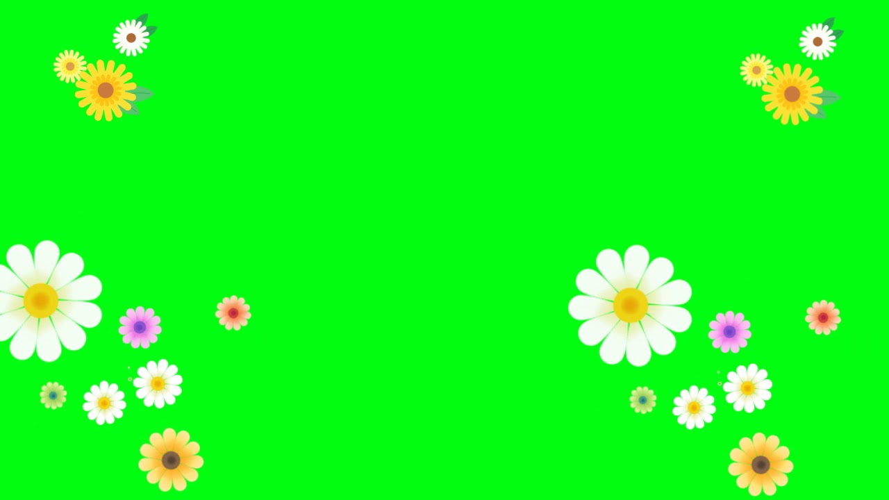 flower green screen effect video - YouTube
