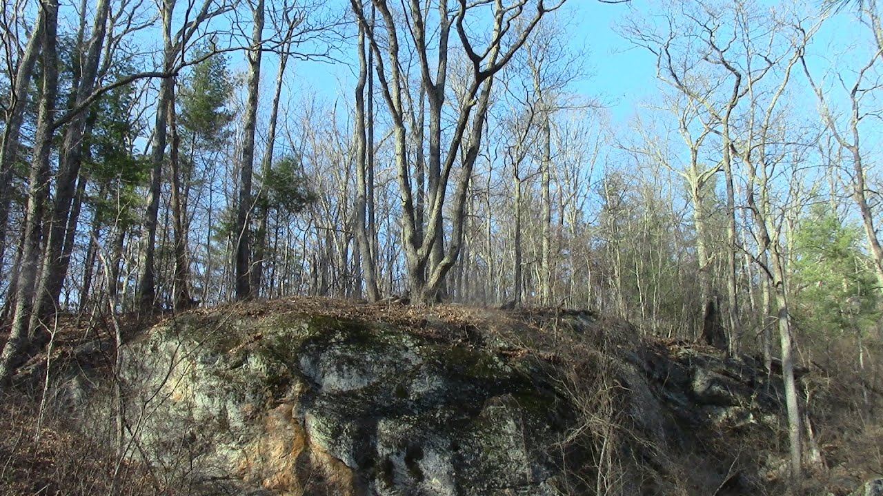 Cahoba Live, 60 sec - YouTube