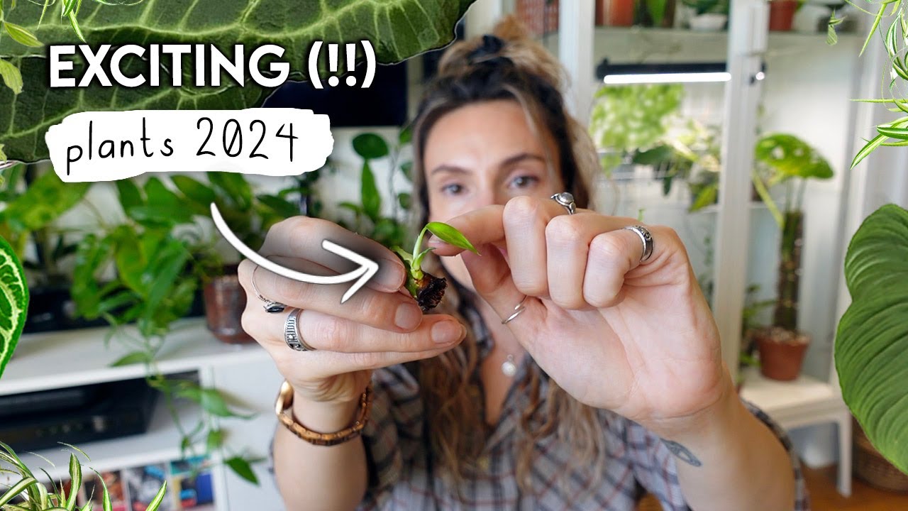 I'm So Excited To Grow These Plants 🌿 2024 Exciting Plants In My ...