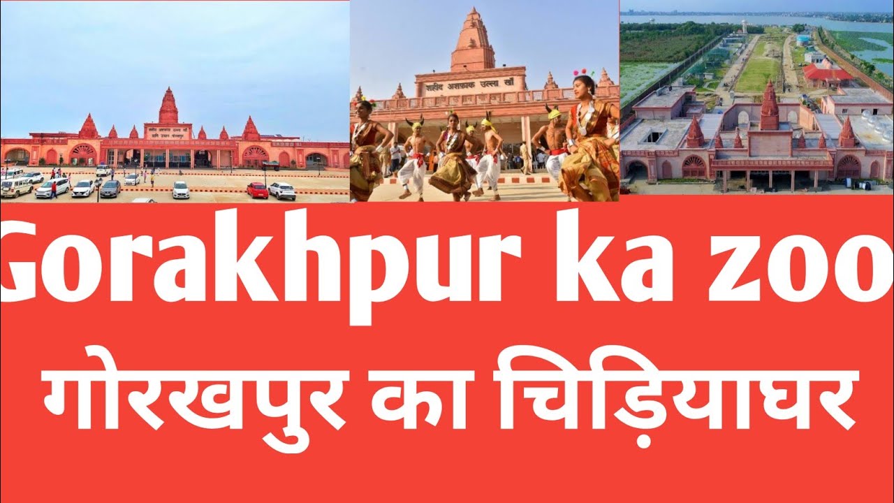 Gorakhpur ka zoo| Gorakhpur ka chidiyaghar | गोरखपुर का चिड़ियाघर | gkp ...