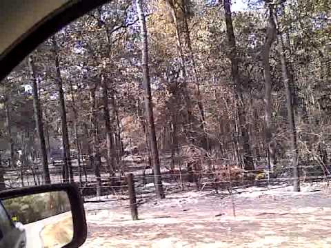Fire Damage 9-10-2011 Riley Road up to Walnut Ridge Drive coming from ...