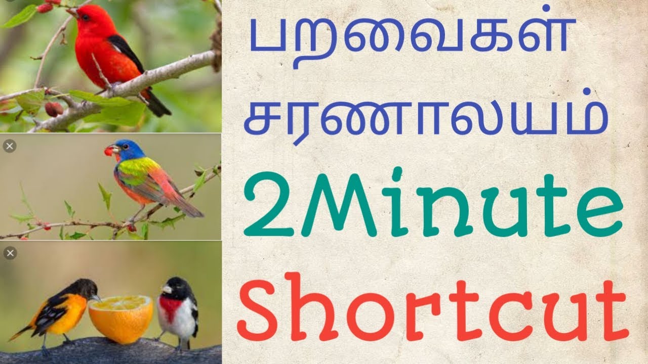 Easy shortcut-paravaigal saranalayam (பறவைகள் சரணாலயம்) - YouTube