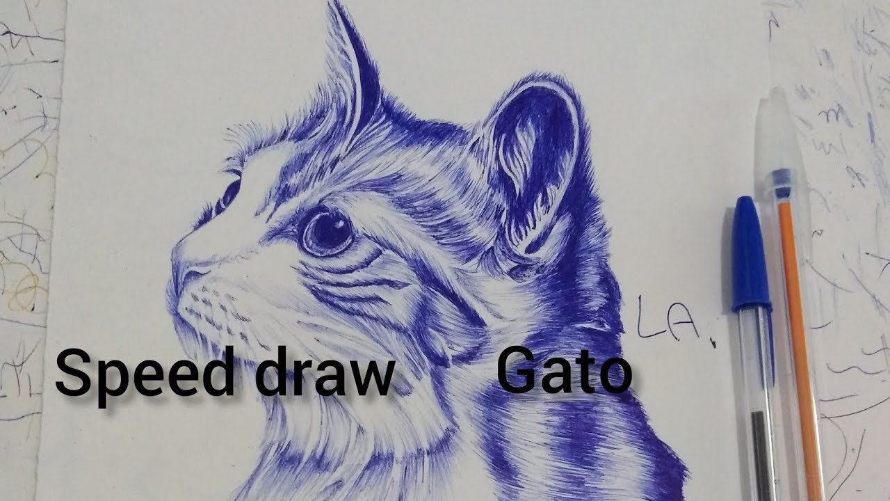 Speed draw gato (cat) - YouTube