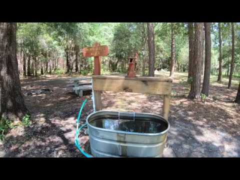 Tidewater Campground at Goethe State Forest - YouTube