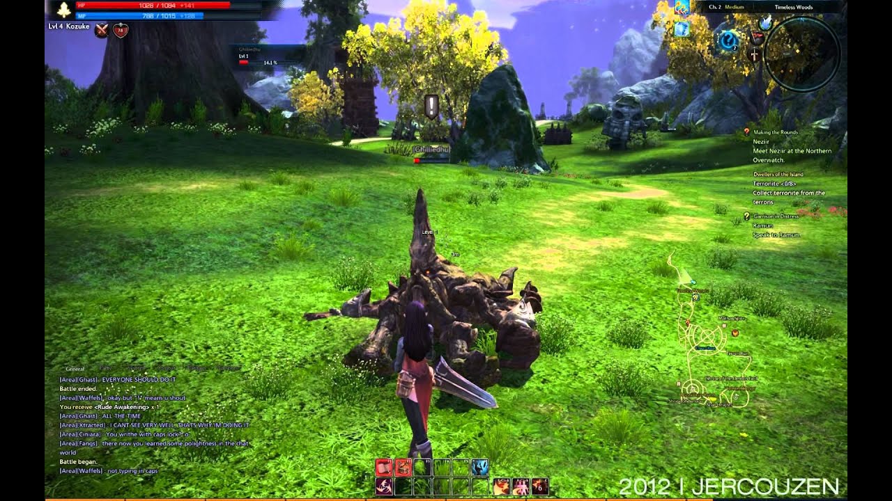 TERA - High Elf Slayer Gameplay - Basic Combat and Skill Chain [HD][3D ...