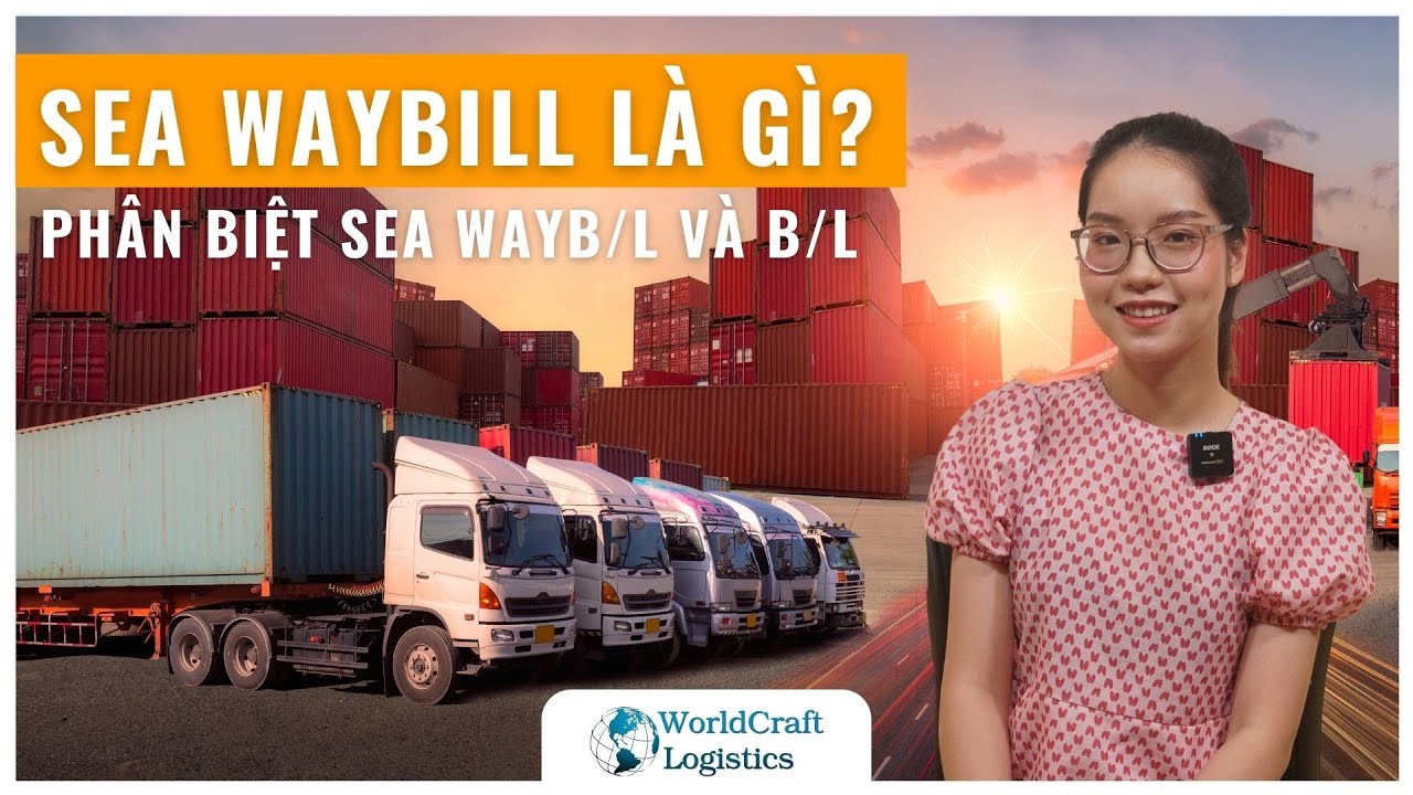 EPISODE 60 - SEA WAYBILL LÀ GÌ? - PHÂN BIỆT SEA WAY B/L VÀ B/L - YouTube