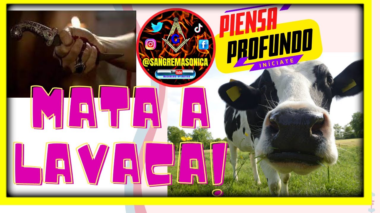 ⭐¡MATA A LA VACA! - YouTube