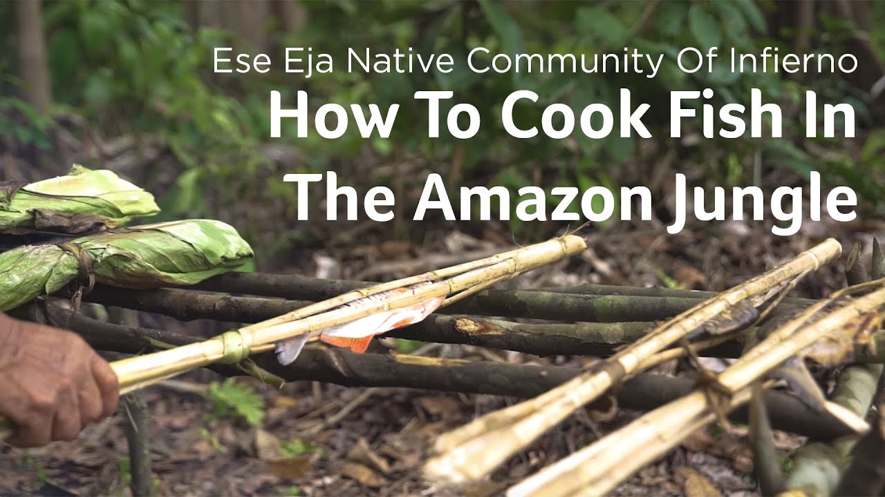 Amazon Native Community: How To Cook Fish In The Jungle (survival tips ...