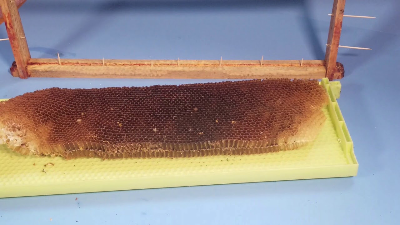 Time for traps - preparing some comb frames - YouTube