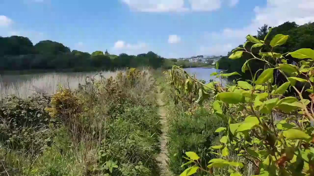 Walk along the River Laune. Killorglin. Kerry. Ireland May 2017 - YouTube