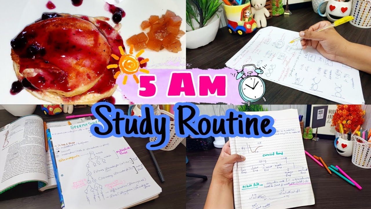 🕔5AM study vlog | 7 Months Before NEET Study routine 📝 | NEET aspirant ...