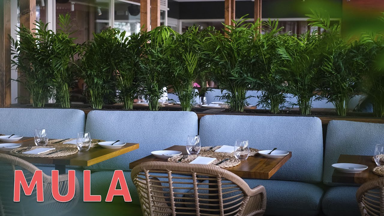 Mula: o grupo Mercantina abriu mais um restaurante cheio de estilo em ...