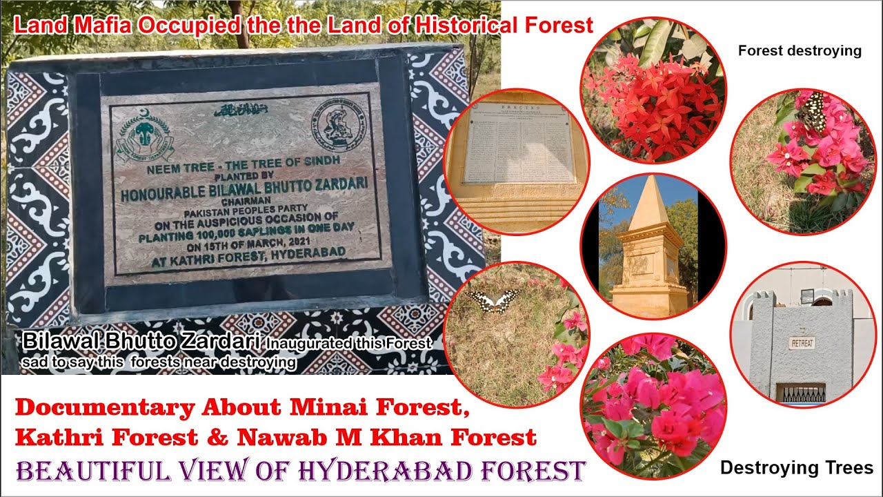 Documentary about Historical Places of Miani battle & Forests of ...