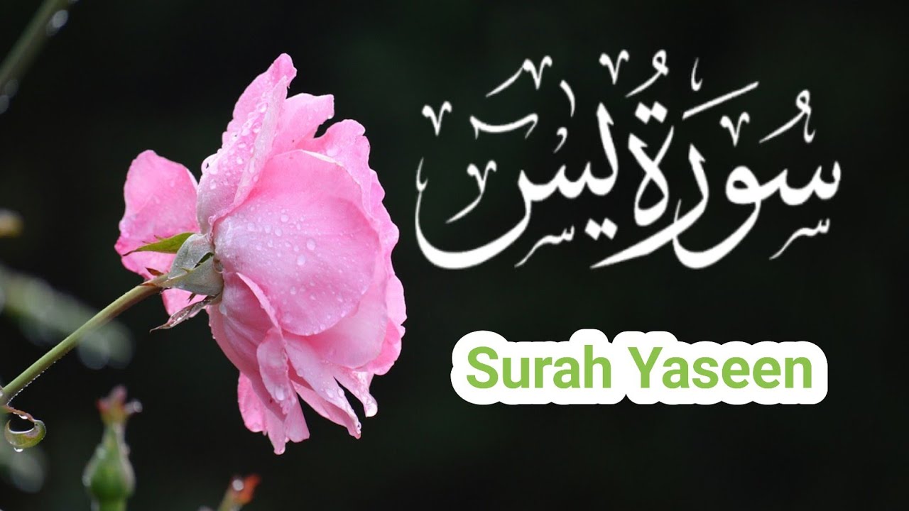 Surah Yasin (Yaseen) - Sheikh Abdur Rahman As Sudais - Al Quran ...