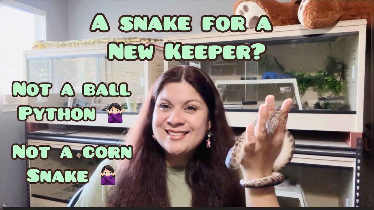 New Keeper First Pet Snake - YouTube