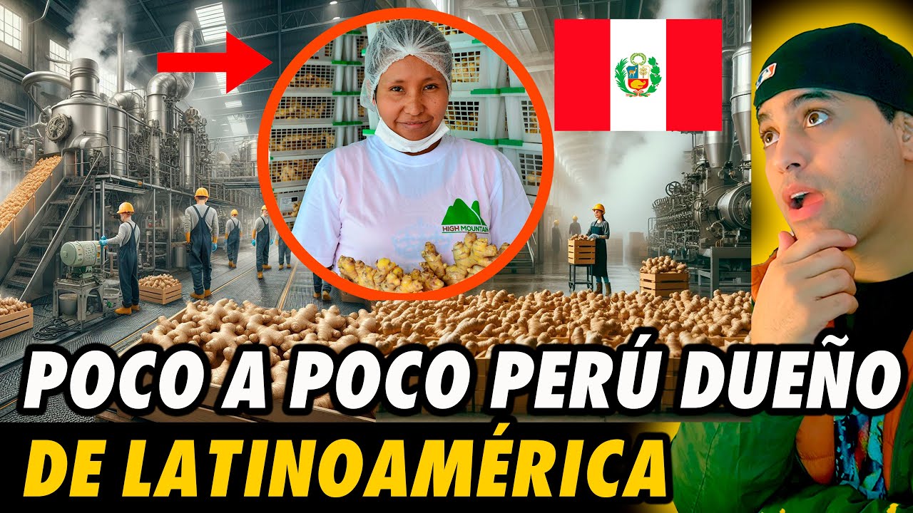 EL KION PERUANO TENIENDO un éxito ESPECTACULAR - YouTube