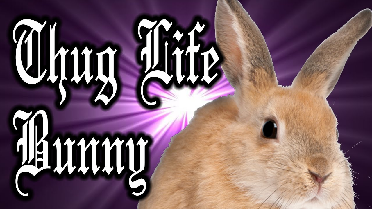 Happy Thug Life Easter - YouTube