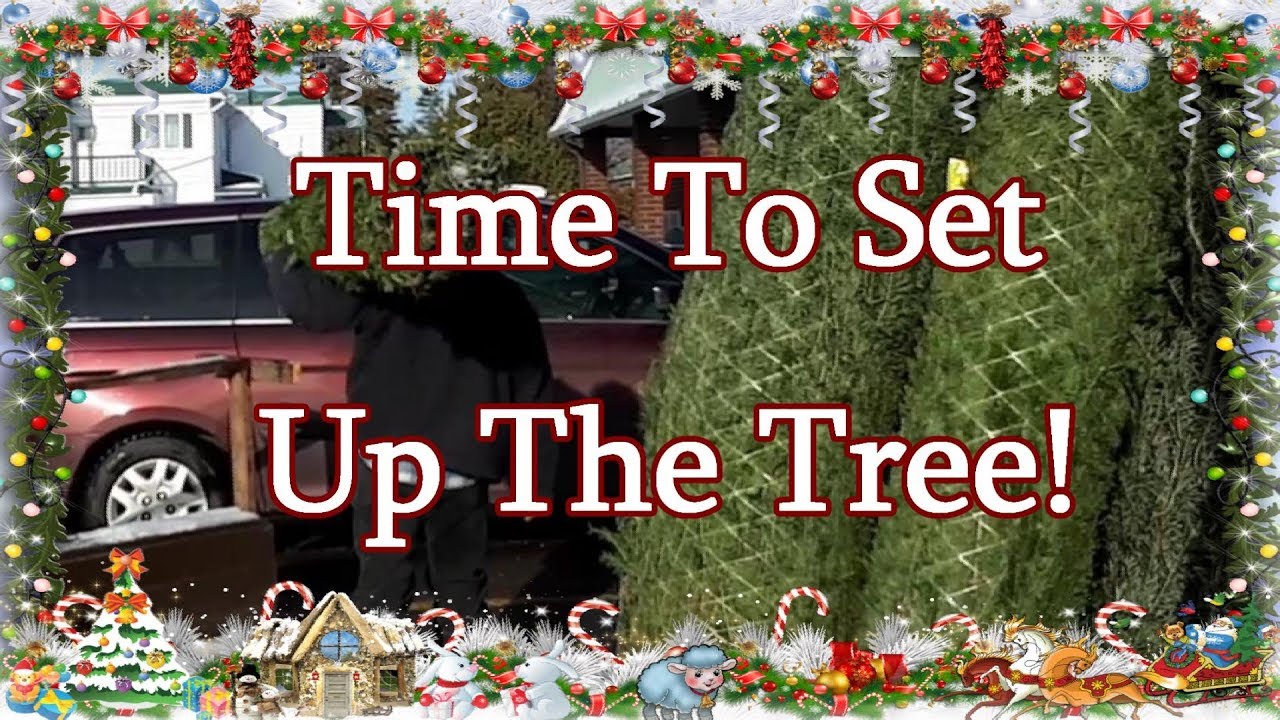 Setting Up The Tree! Live Stream Decorating Soon! - YouTube