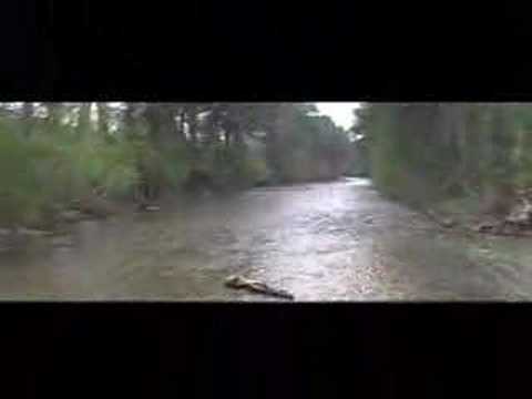 Medina River, Bandera, Texas - YouTube