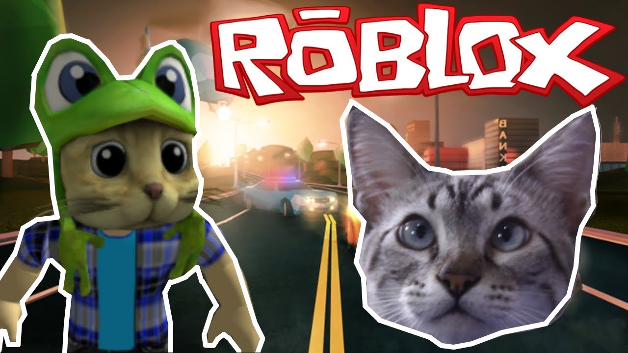 CHESTER O GATO GAMER JOGANDO ROBLOX - YouTube