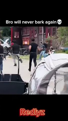 Speed will never bark again 💀 - YouTube