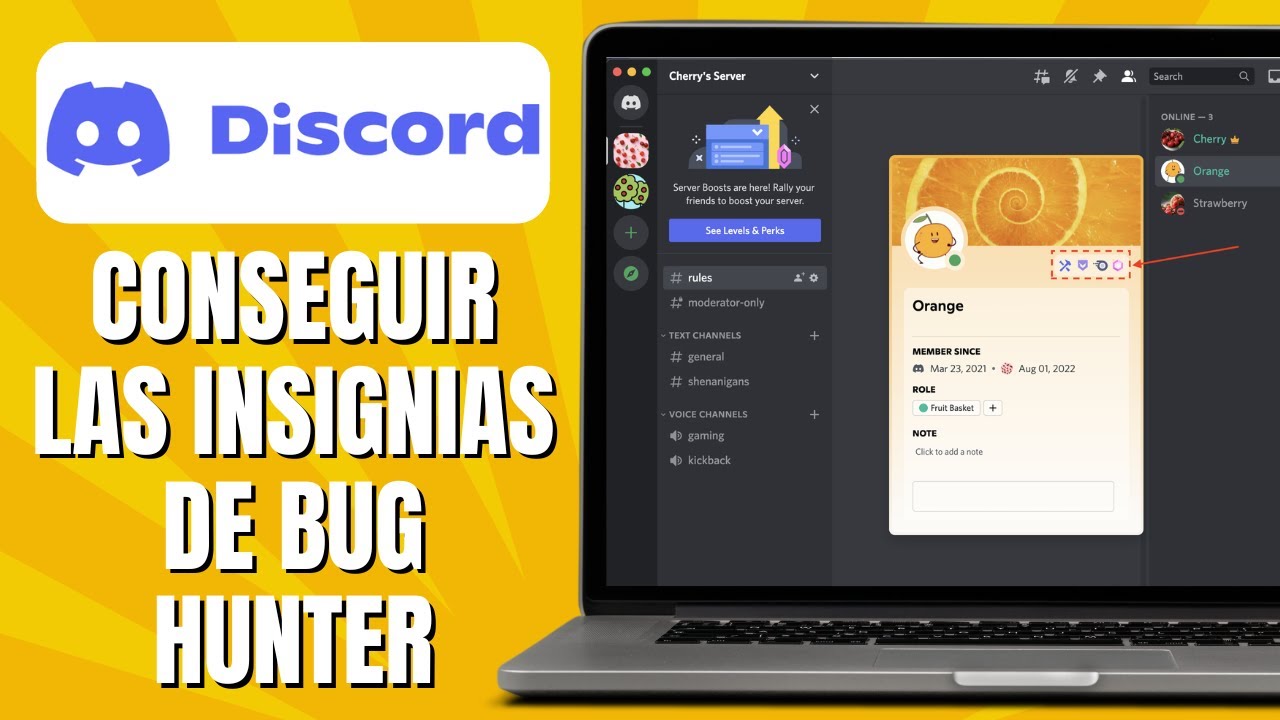 Cómo CONSEGUIR Las Insignias De BUG HUNTER En DISCORD - YouTube