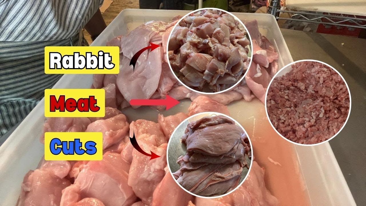 My Go-To Cuts of Rabbit Meat for Best and Easiest Use - YouTube