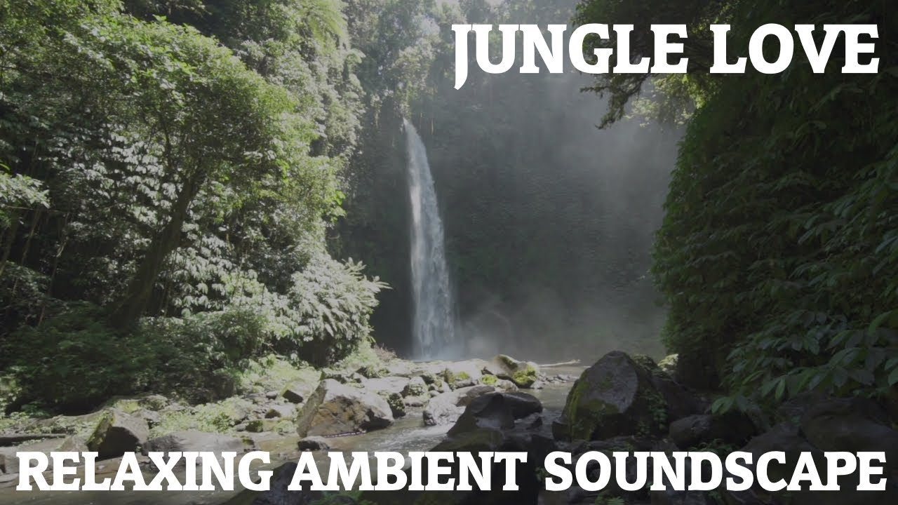 Relaxing Musical Soundscape - Jungle Love - Deep House Beats/Jungle ...