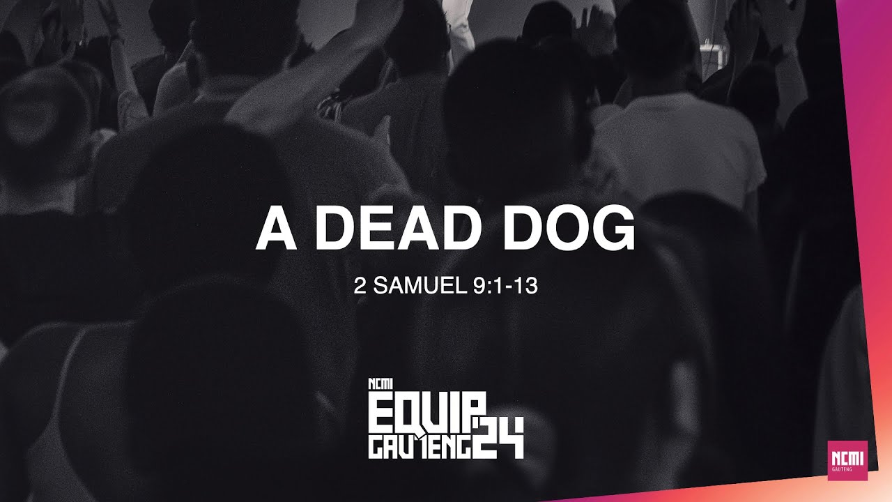 Gauteng Equip 2024 | Tony Sivewright | A Dead Dog - YouTube