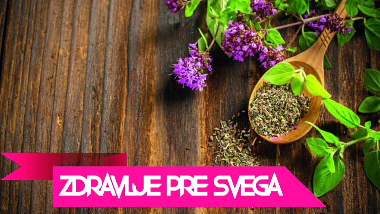 ČAJ OD DIVLJEG ORIGANA KAO LEK PRIPREMA ZA KANDIDU,URINARNE INFEKCIJE ...