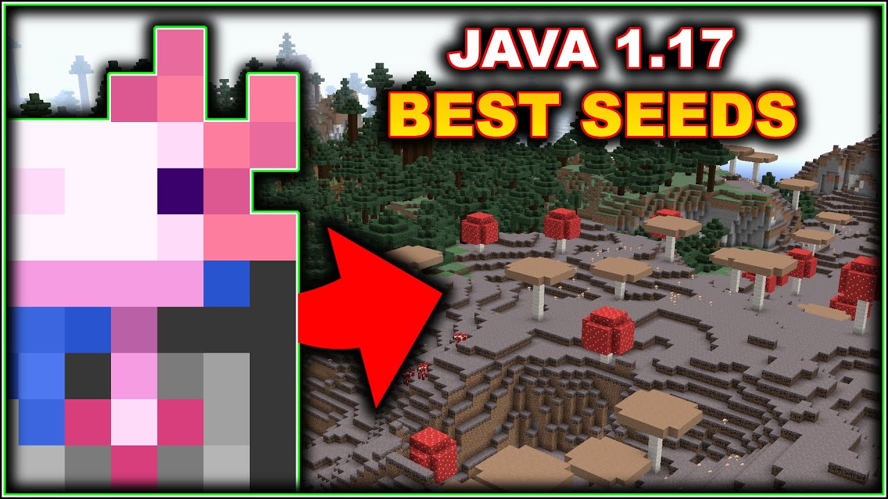 Top 5 BEST Seeds for Minecraft Java 1.17 - YouTube