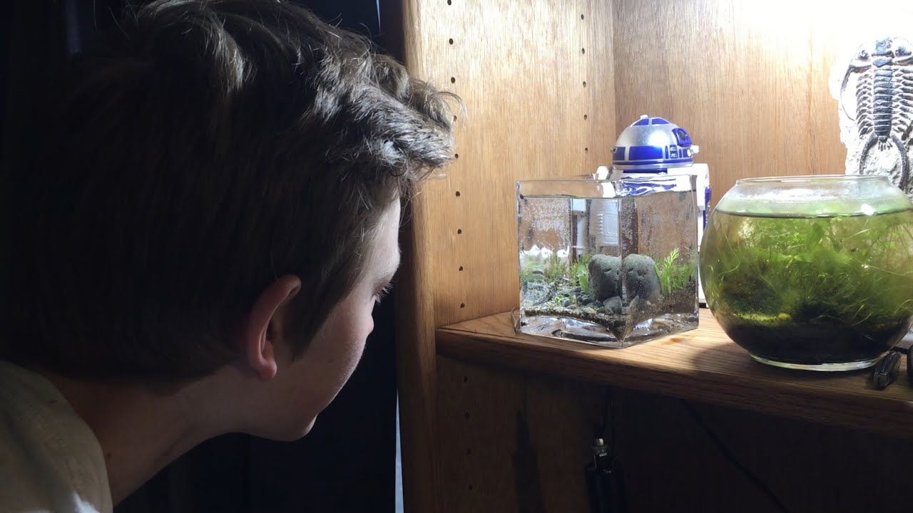 Creating A Micro Aquascape - YouTube