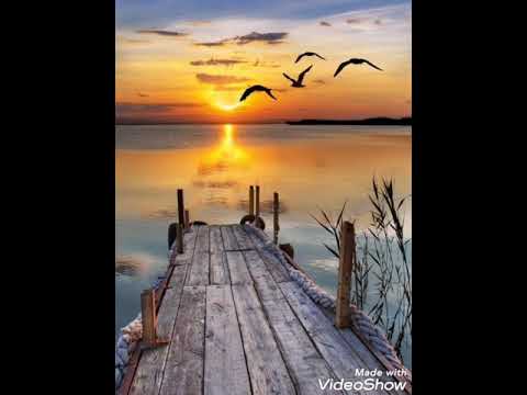 Selman Güneş  Susuyorum! ( şiiri)