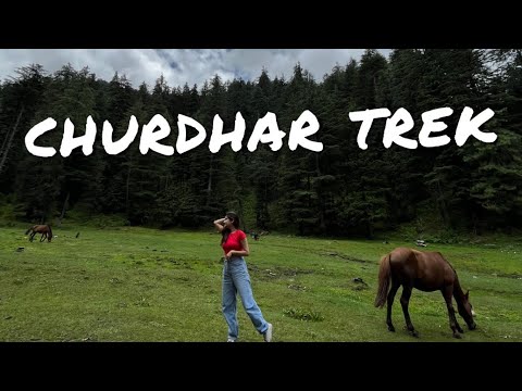CHURDHAR TREK || One of the best places in Himachal Pradesh - YouTube