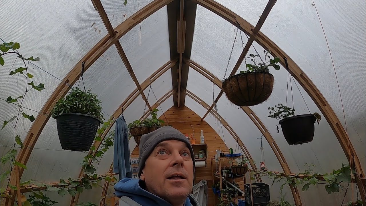 BOMB CYCLONE vs Gothic arch greenhouse | Busy Beaver | #windstorm - YouTube